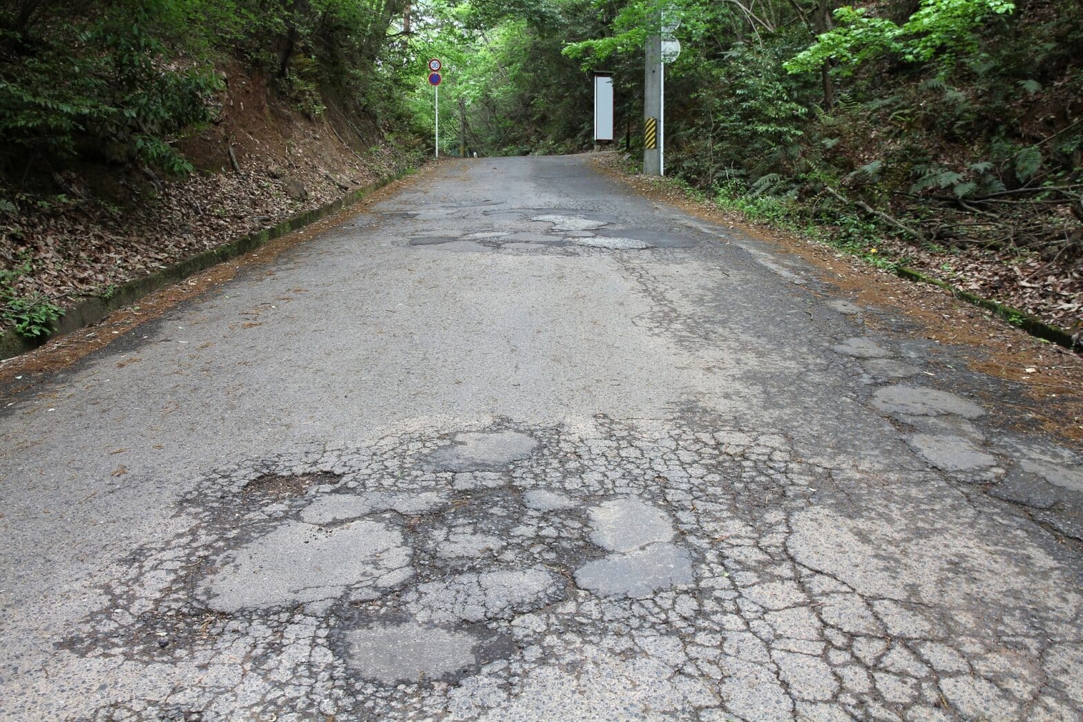 The Different Types of Asphalt Damage | Big Easy Asphalt